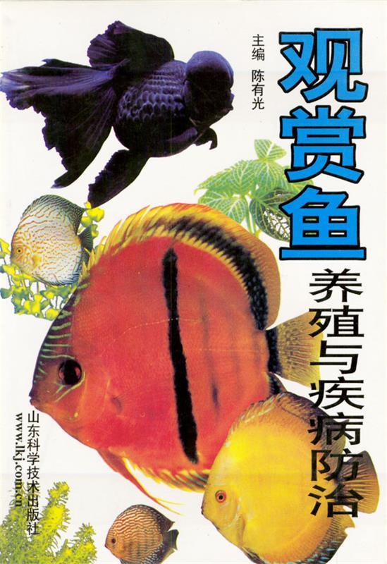 观赏鱼养殖与疾病防治 陈有光