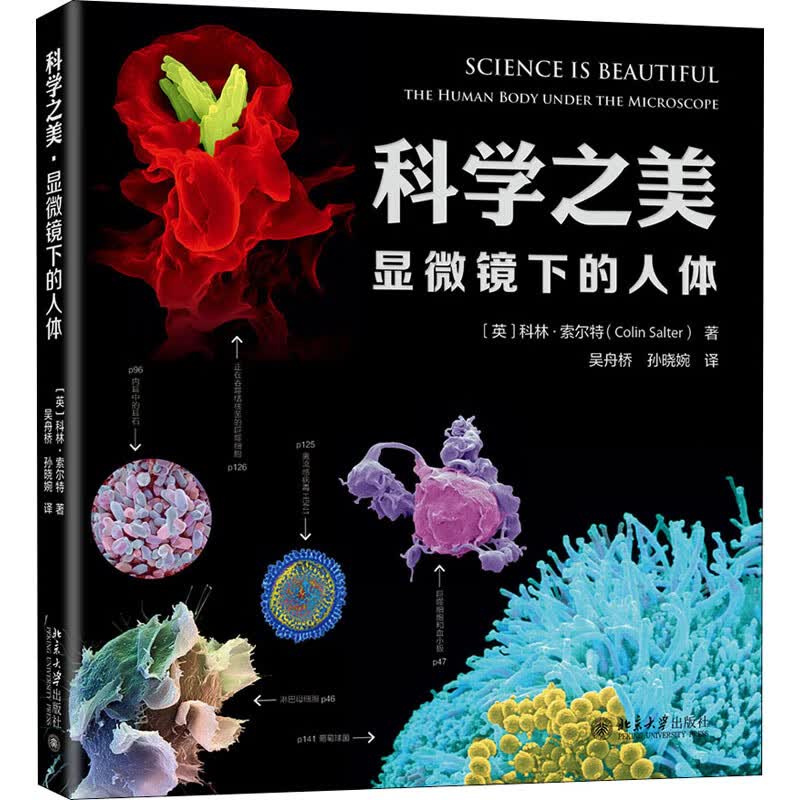 科学之美 显微镜下的人体