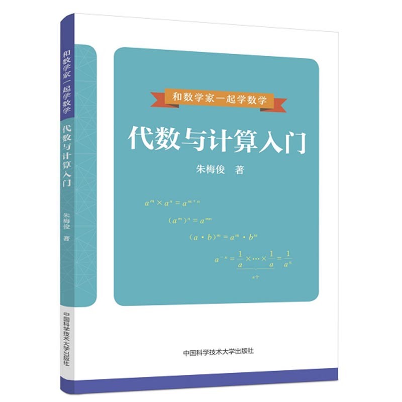 代数与计算入门/和数学家一起学数学