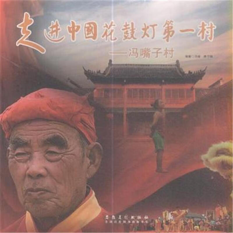 走进中国村-冯嘴子村 安徽美术 9787539852416