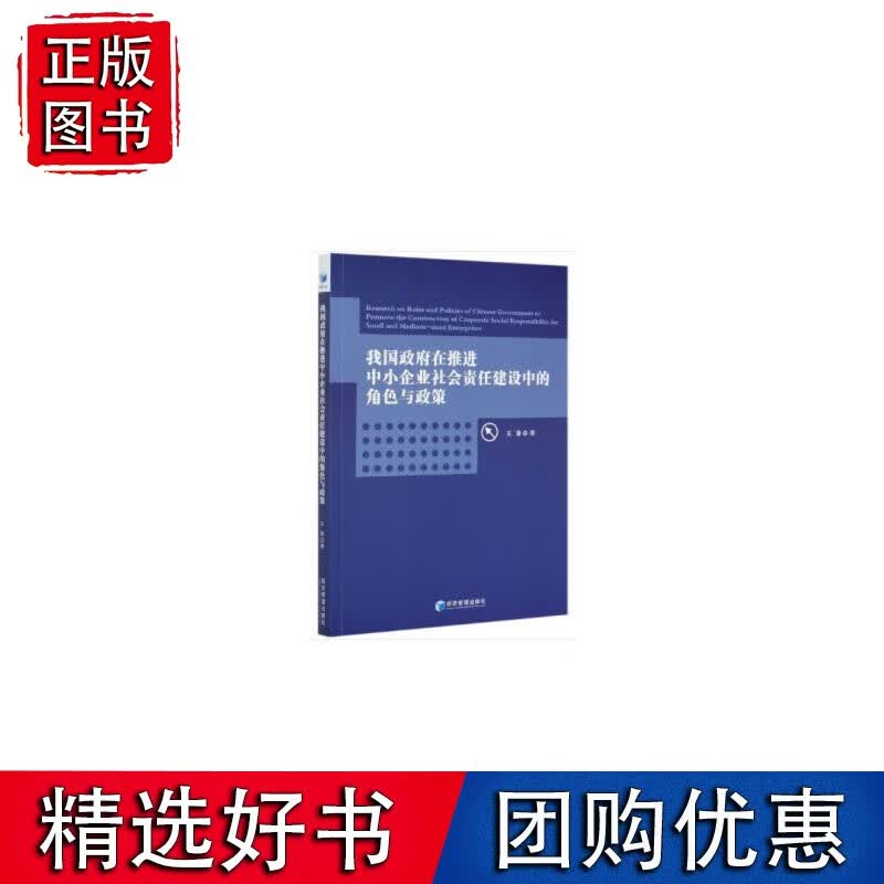 我国政府在推进中小企业社会责任建设中的角色与政策