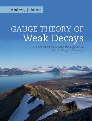 现货 Gauge Theory of Weak Decays: The Standard Mo...