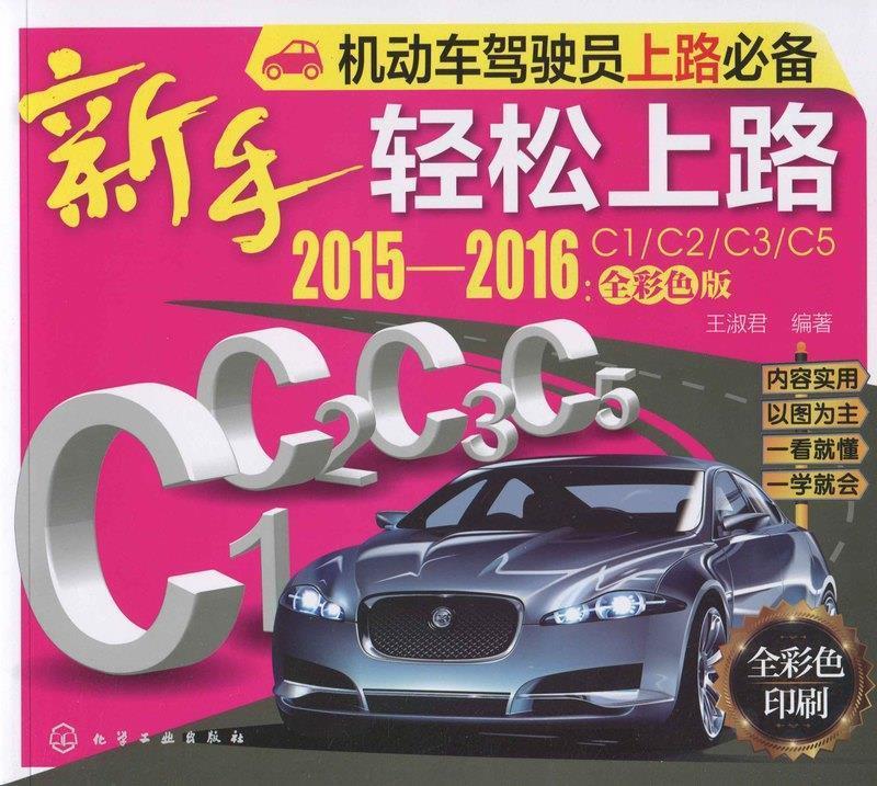 新手轻松上路 王淑君 编著