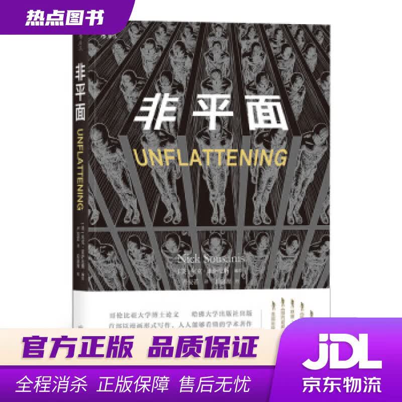 非平面 [美]尼克.索萨尼斯,严安若 北京联合出版公司