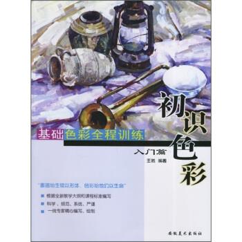 基础色彩全程训练：入门篇 王驰