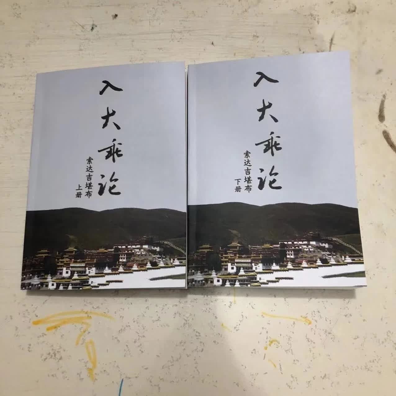 入大 乘 论上下册 一套两   44课完整  16开