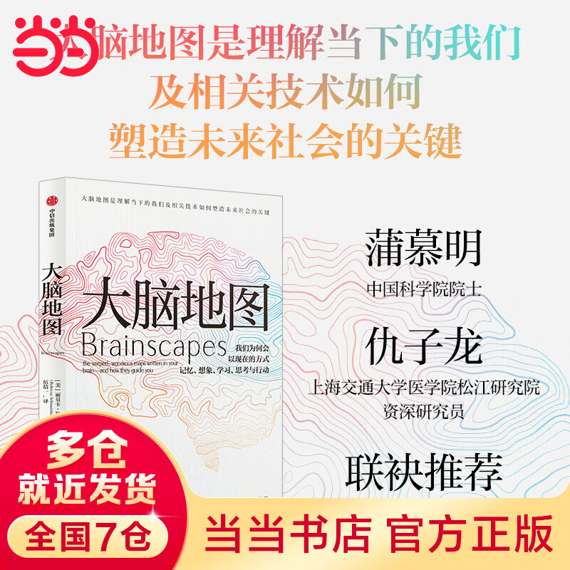 大脑地图