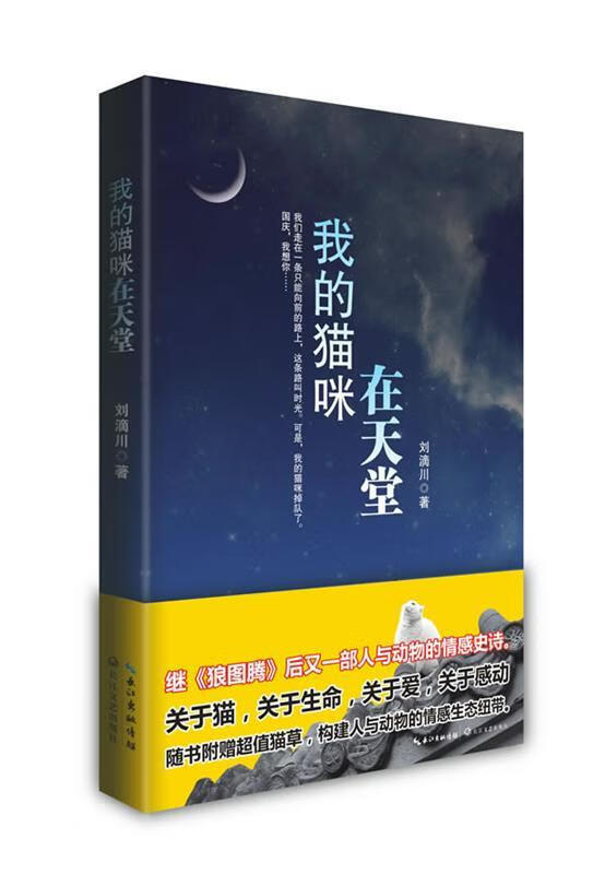 我的猫咪在天堂 刘滴川