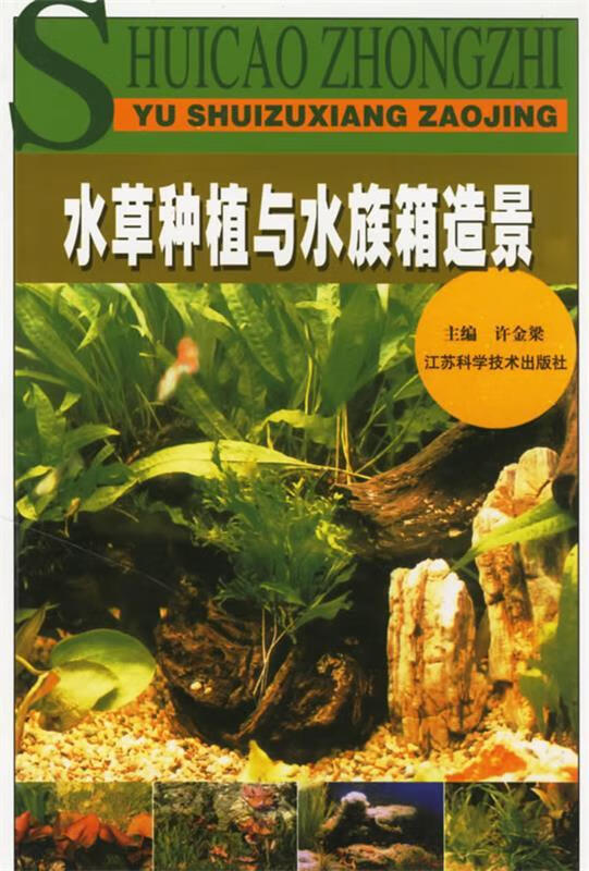 水草种植与水族箱造景【好书，下单速发】