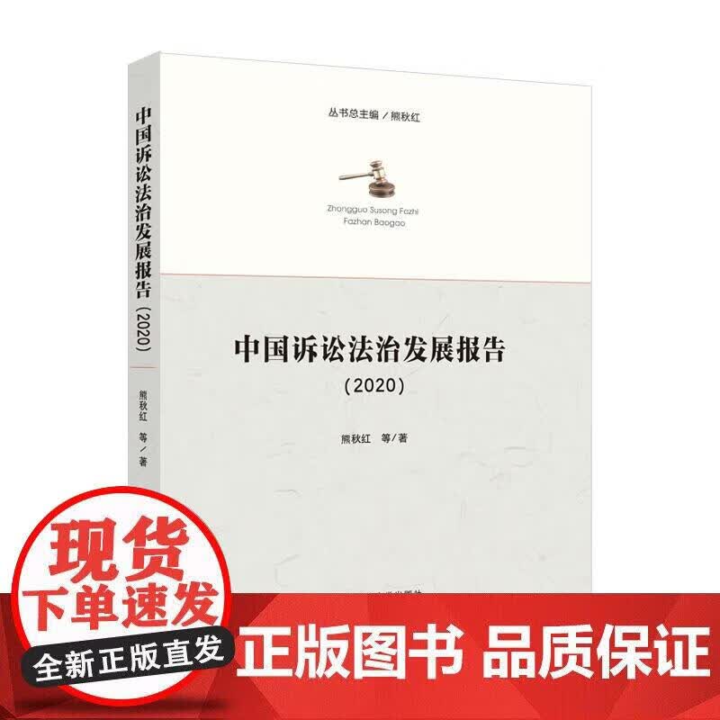 中国诉讼法治发展报告（2020）
