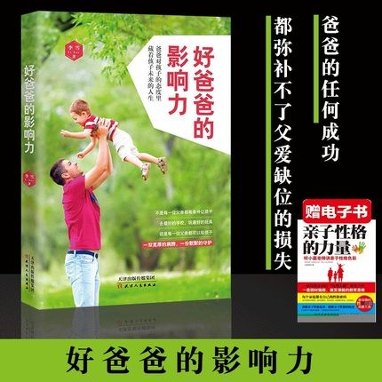 好爸爸的影响力 如何当个好爸爸书籍 教育孩子 育儿 教育孩子的书籍 养育男孩女孩 父的影响力 做养育男
