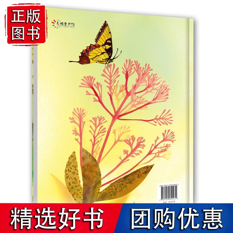 蝴蝶公园