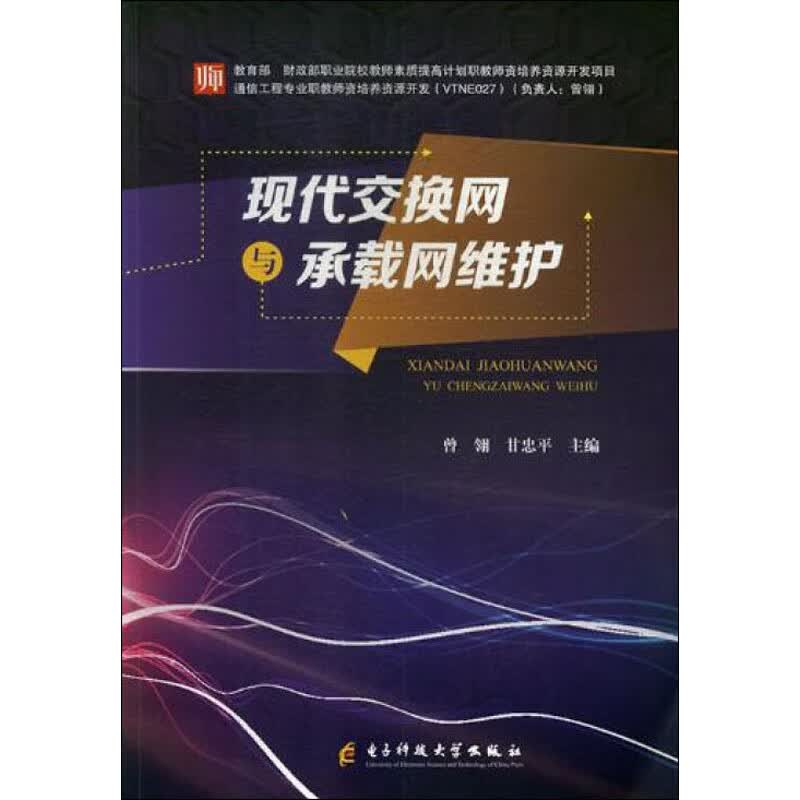 现代交换网与承载网维护