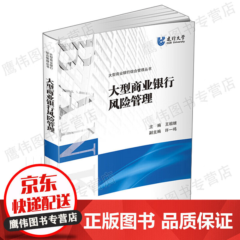 大型商业银行风险管理/王祖继