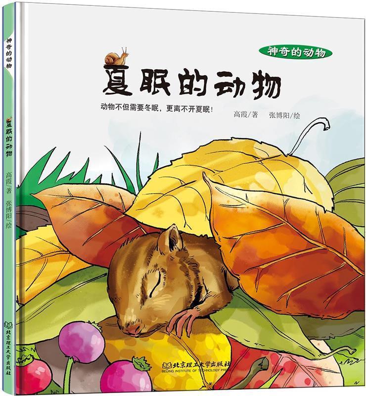 神奇的动物:夏眠的动物 高霞【书】