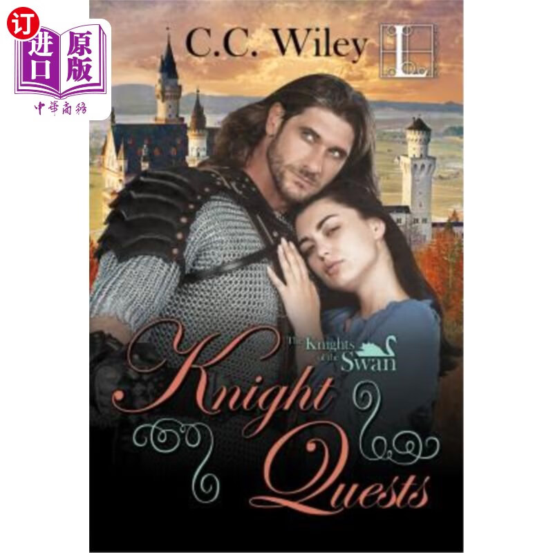 海外直订Knight Quests 骑士的任务