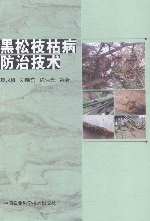 黑松枝枯病技术赖永梅中国农业科学技术出版社9787511619716 农业/林业书籍