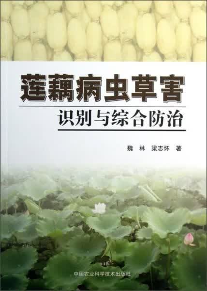 莲藕病虫害识别与综合防治9787511611178