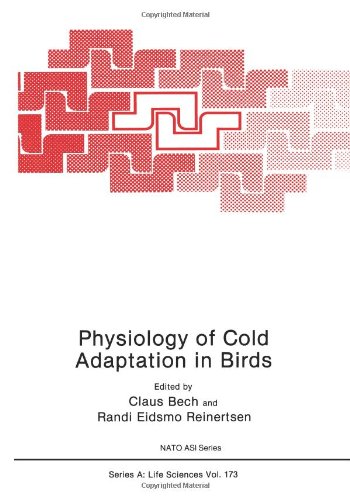 Physiology of Cold Adaptation in Birds