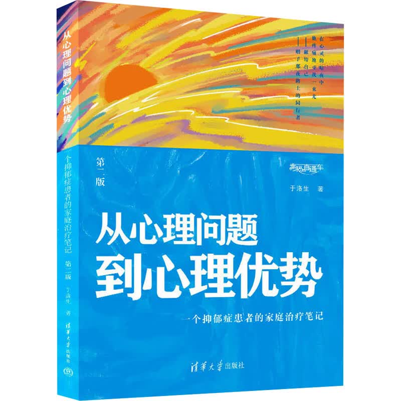 从心理问题到心理优势 一个抑郁症患者的家庭治疗笔记 图书