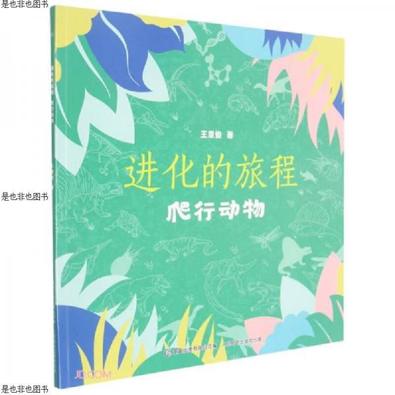 进化的旅程(爬行动物)