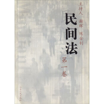 民间法 谢晖,陈金钊