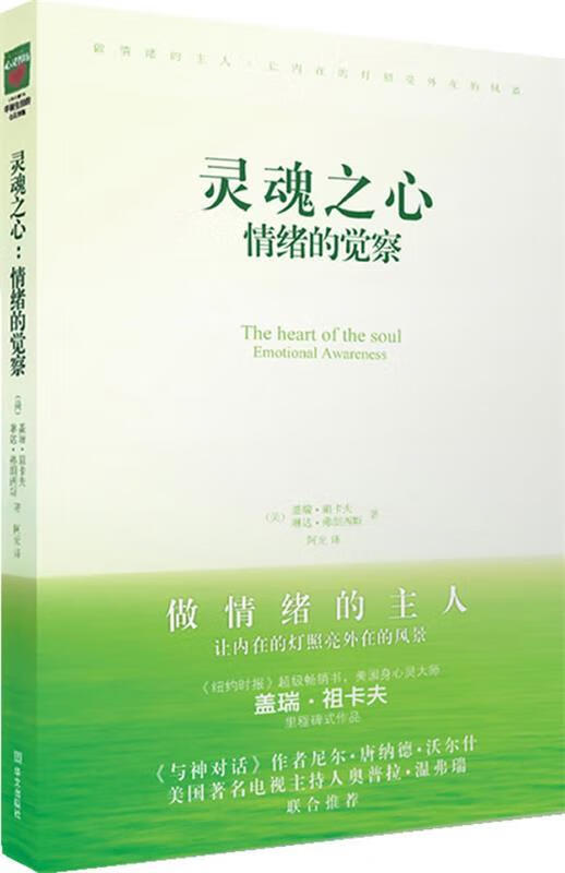 灵魂之心:情绪的觉察