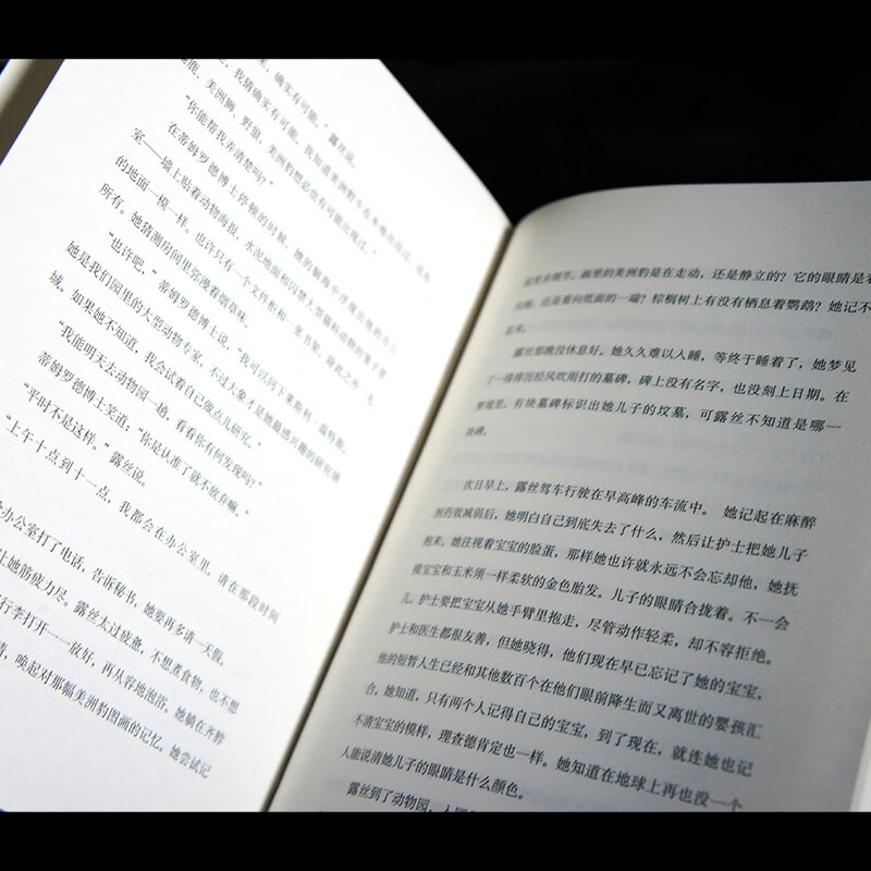炽焰燃烧 图书
