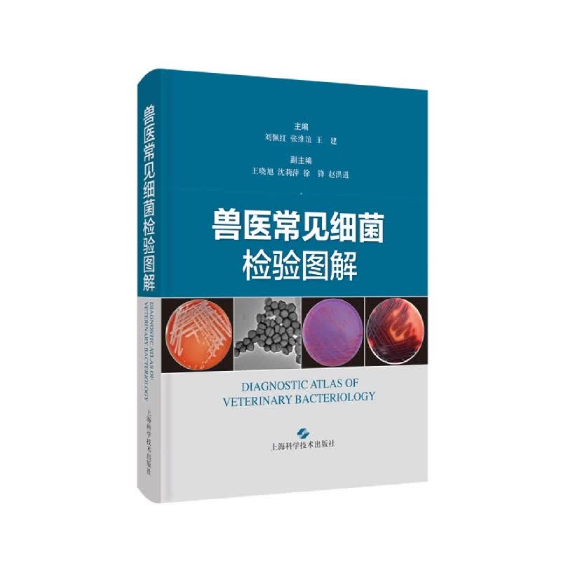 兽医常见细菌检验图解