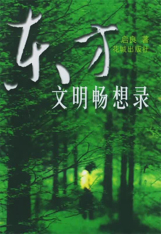 东方文明畅想录 启良 著