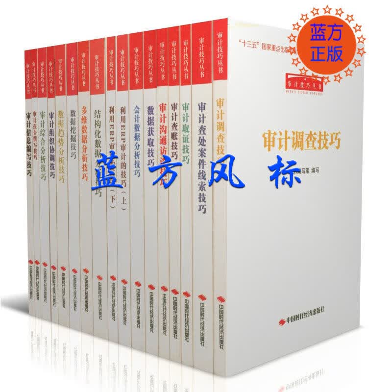 【现货】审计技巧丛书 17册/套 十三五国家重点出版物出版规划项目 中国时代经济出版社