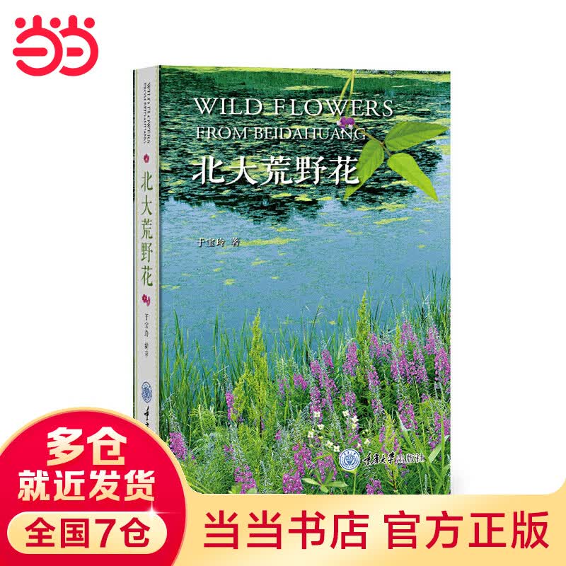 北大荒野花