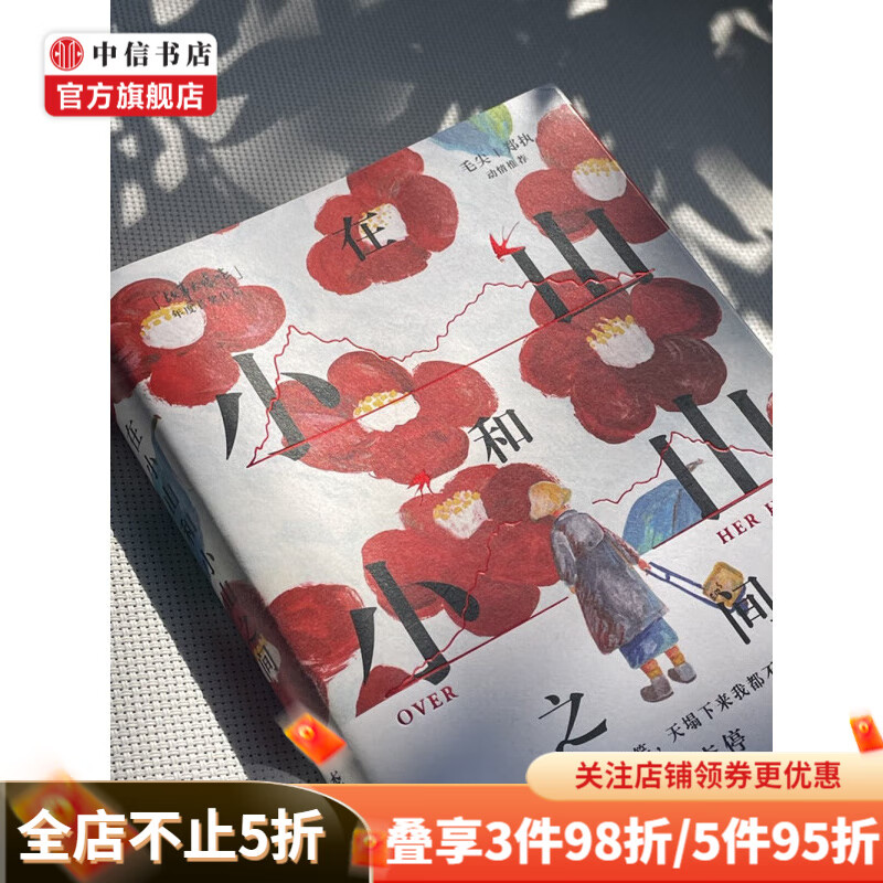 在小山和小山之间 李停 著 小说