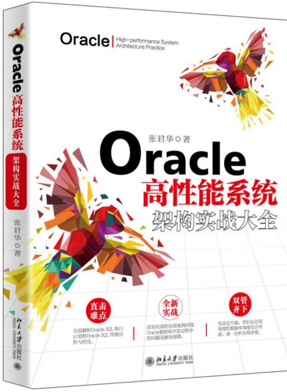 Oracle高性能系统架构实战大全
