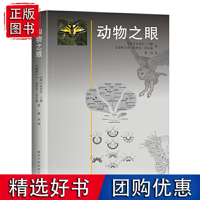 动物之眼