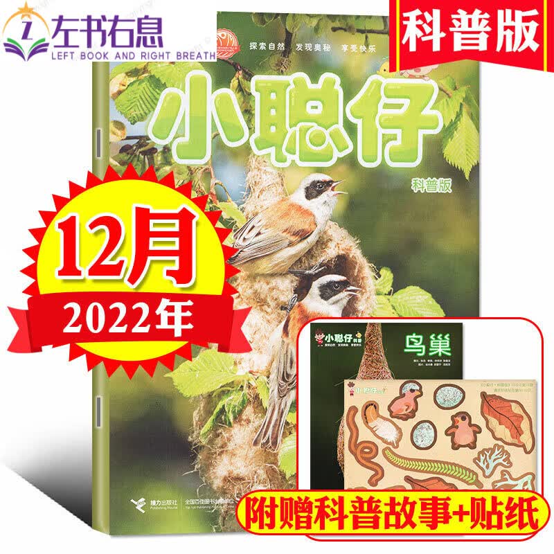 1/2/3/4月现货【送礼品2023全年/半年订阅】小聪仔杂志科普版2022年1-12月幼儿婴儿版0 科普版2022年12月鸟巢