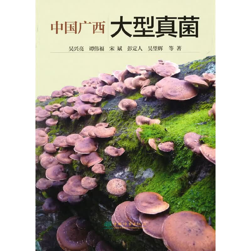 中国广西大型真菌(精)