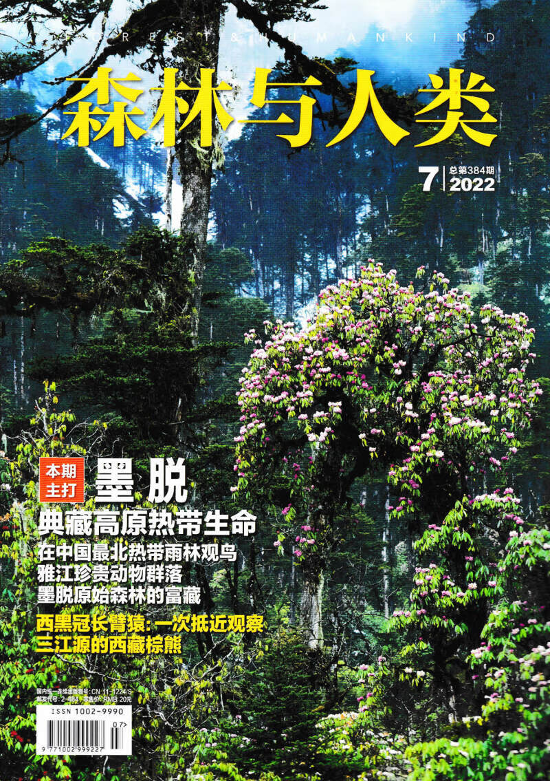 【现货速发】森林与人类2023年1月+2022年10/11月+2021年11月+2020+201 橙色