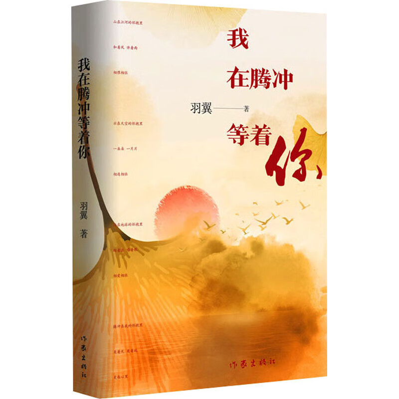 我在腾冲等着你 图书