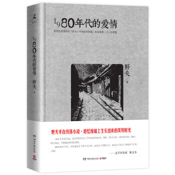 1980年代的爱情 野夫 湖南文艺出版社