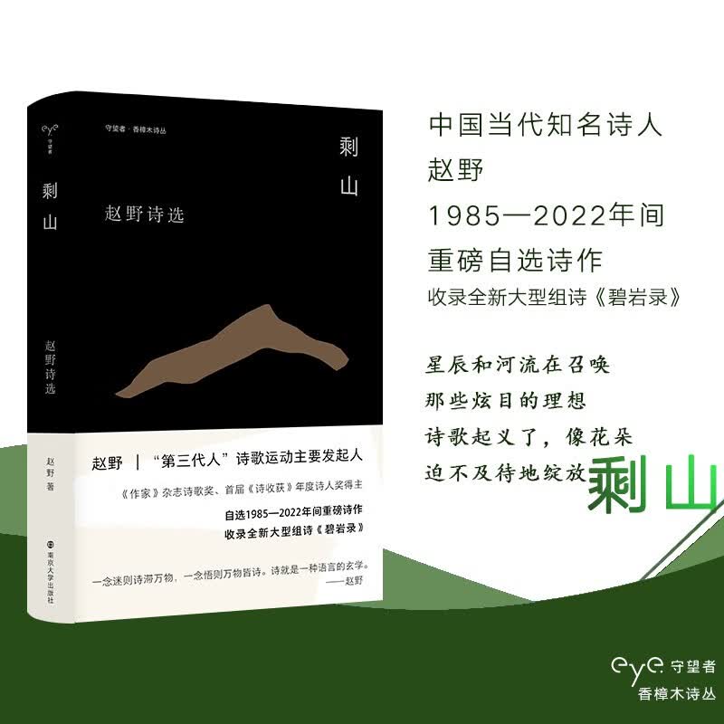 香樟木诗丛：剩山（赵野诗选）