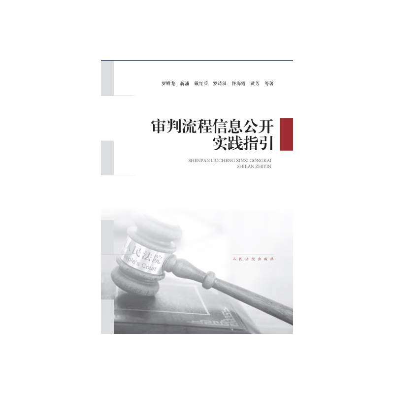 审判流程信息公开实践指引