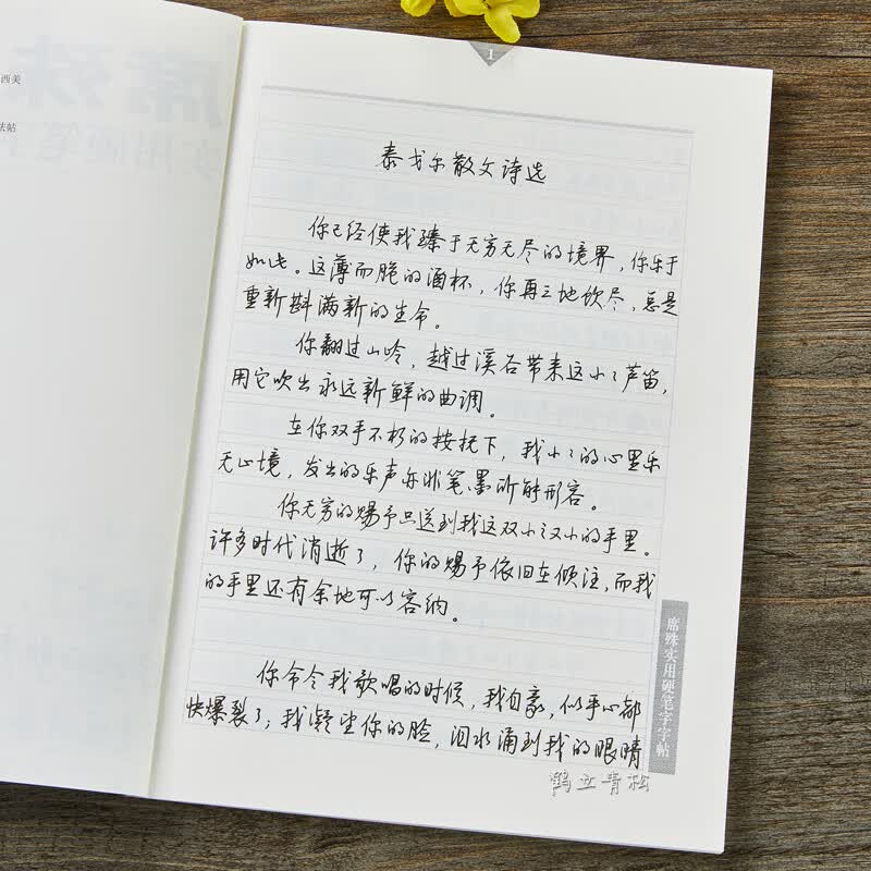 席殊实用硬笔字字帖 书法速成教材 行书钢笔字帖