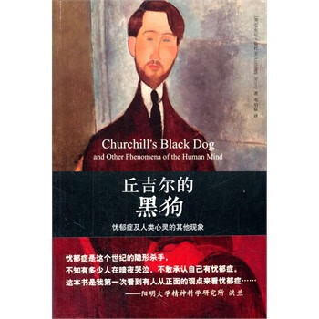 丘吉尔的黑狗-忧郁症及人类心灵的其他现象 (英)斯托尔,邓伯宸【书】