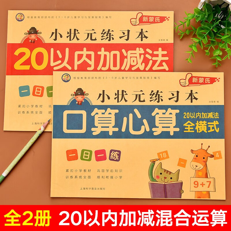 全4册 凑十法借十法平十法破十法数学练习题 幼小衔接一日一练全套口算题卡笔算数学专项训练加减法练习册天天练分解与组成思维训练大班幼儿园算术本 【全套2册】20以内加减法练习题