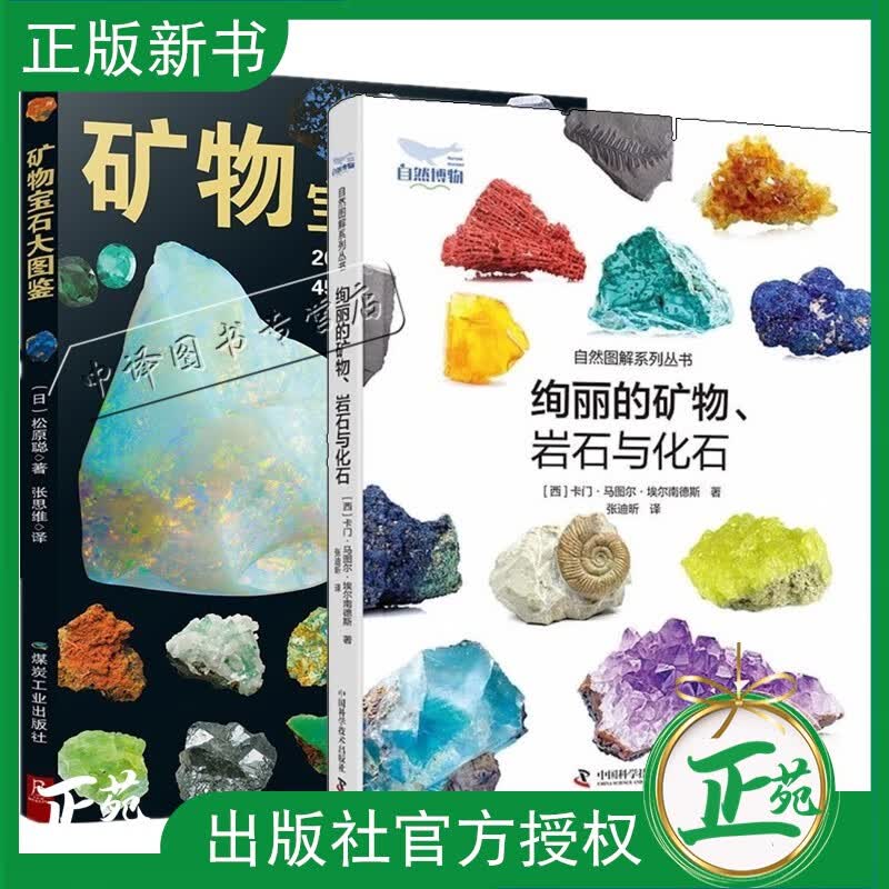 2册 矿物宝石大图鉴+绚丽的矿物岩石与化石 矿物宝石鉴赏图典 矿物与宝石的知识和图鉴宝石收藏爱好者的书籍珍稀矿石物图谱书籍