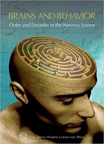 Brains and Behavior: Order and Disorder in the N