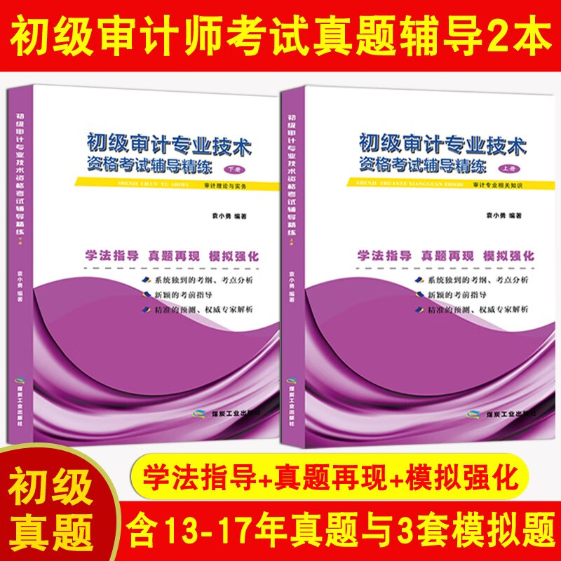 初级审计师考试历年真题与模拟试题及详解 审计专业相关知识+审计理论与实务共2本 初级审计师考试用