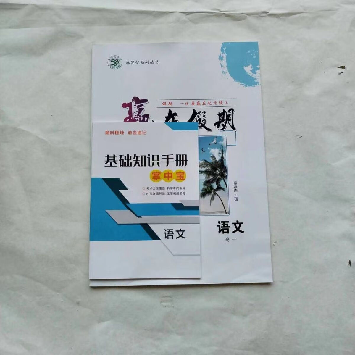 2024赢在假期 高一暑假作业 数学语文英语物理化学生物历史地理政 高一新教材 鲁科版化学