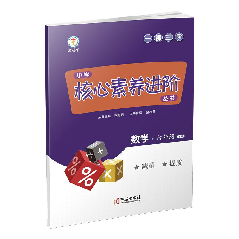 小学核心素养进阶练习丛书 数学 下册 （6年级） 数学 六年级下